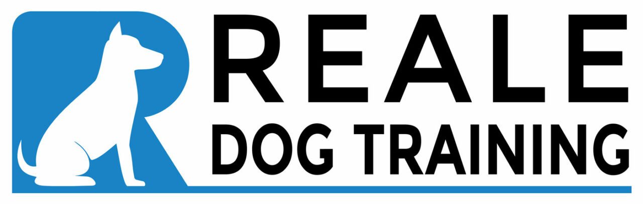 Training Tools | Reale Dog Training